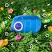 Isopod Hair Claw Hair Clip Bug Claw Clip Beetle Spring Accessory Nature ...