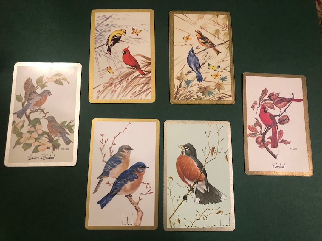 Vintage Bird Card Collection (6 Total or Buy in Pairs of 2) Great for ...