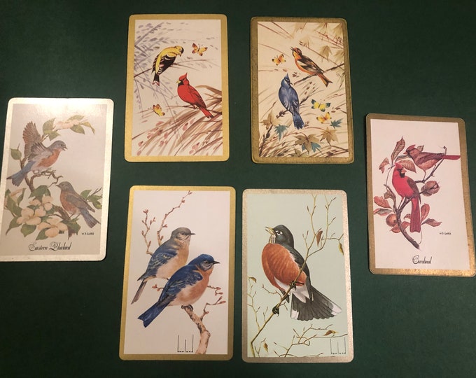 Vintage Bird Card Collection (6 Total or Buy in Pairs of 2) Great for ...