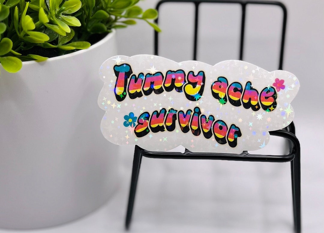 Rainbow Tummy Ache Survivor Holographic Sticker - Funny Meme - Etsy