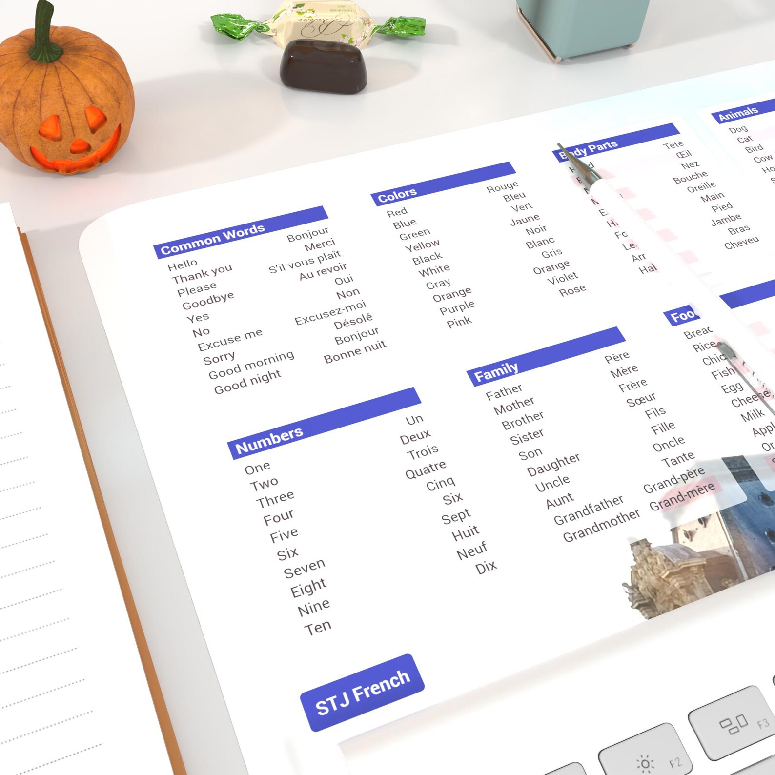 XXL French Desk Mat – 100 Essential French Words & Phrases for Easy ...