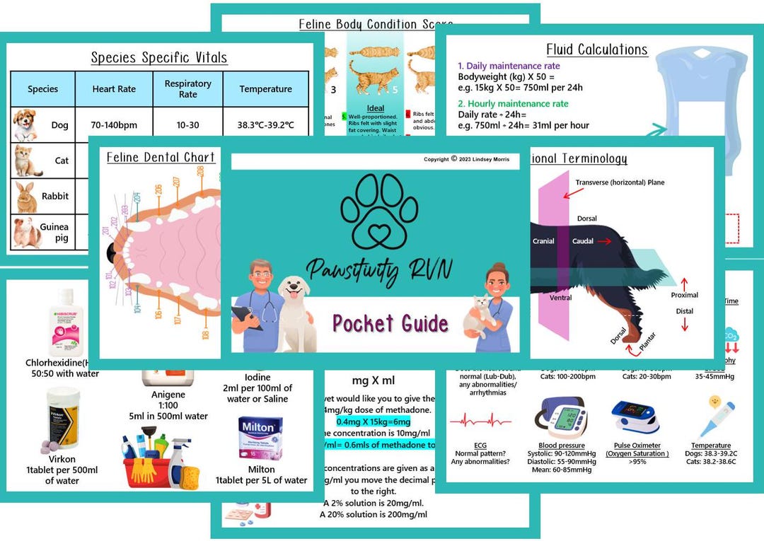 Digital Veterinary Nurse Pocket Reference Guide - Etsy
