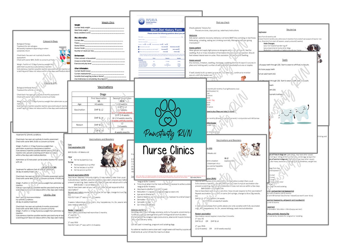 Veterinary Nurse Consultations Help Booklet - Etsy