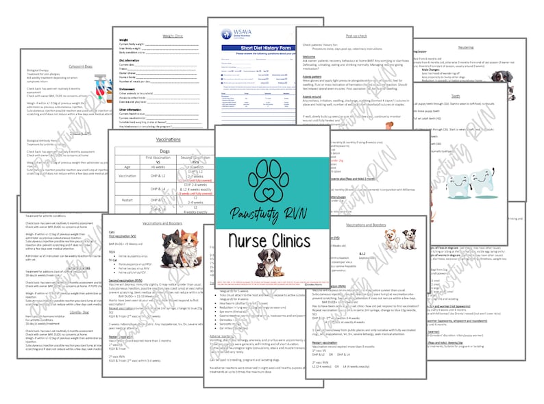 Veterinary Nurse Consultations Help Booklet - Etsy