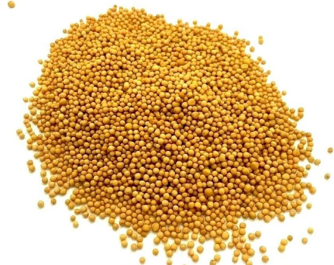 Organic Brown Mustard Seeds – Non-gmo. Good Source of Protein, Fiber ...