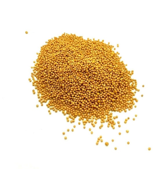 Yellow Mustard Seed Whole Grade A High Quality From Holy Land | Etsy