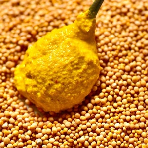 Yellow Mustard Seed Whole Grade A High Quality From Holy Land FF ...