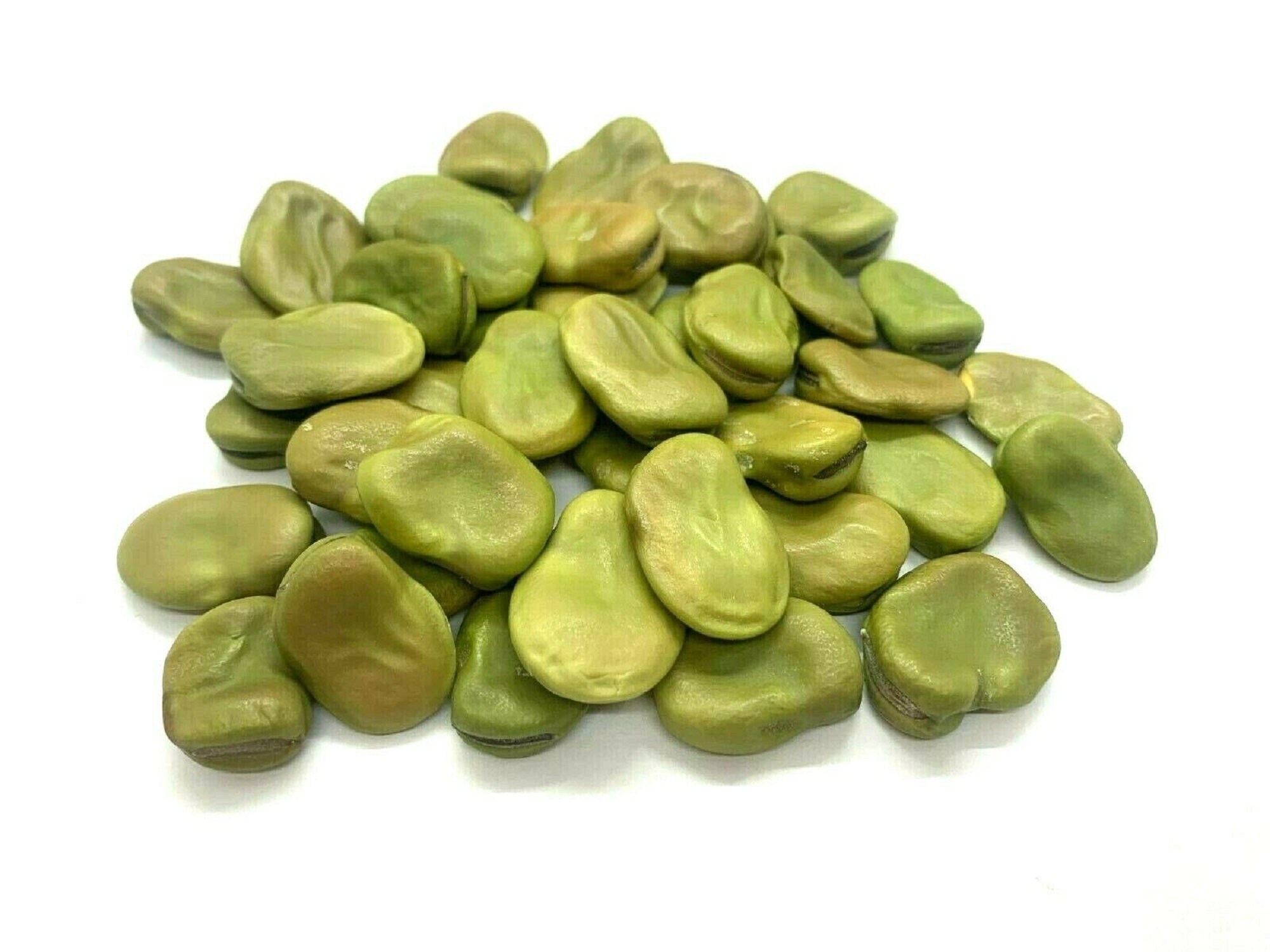 Green Fava Beans | Broad Bean Spring Planting Seeds Organic Whole ...