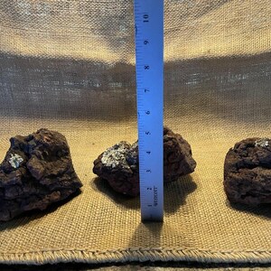 Three Large, Red Lava Rocks, Perfect for Succulents, Aquariums, and ...
