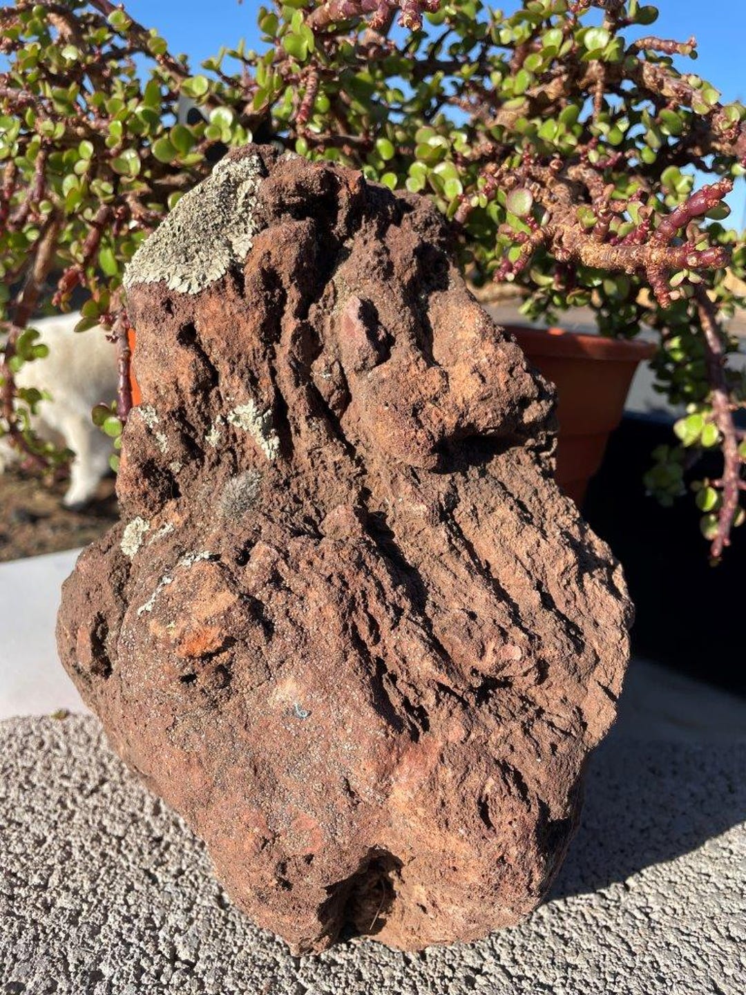 One Large, Red Lava Rock – Perfect for Terrariums, Aquariums ...