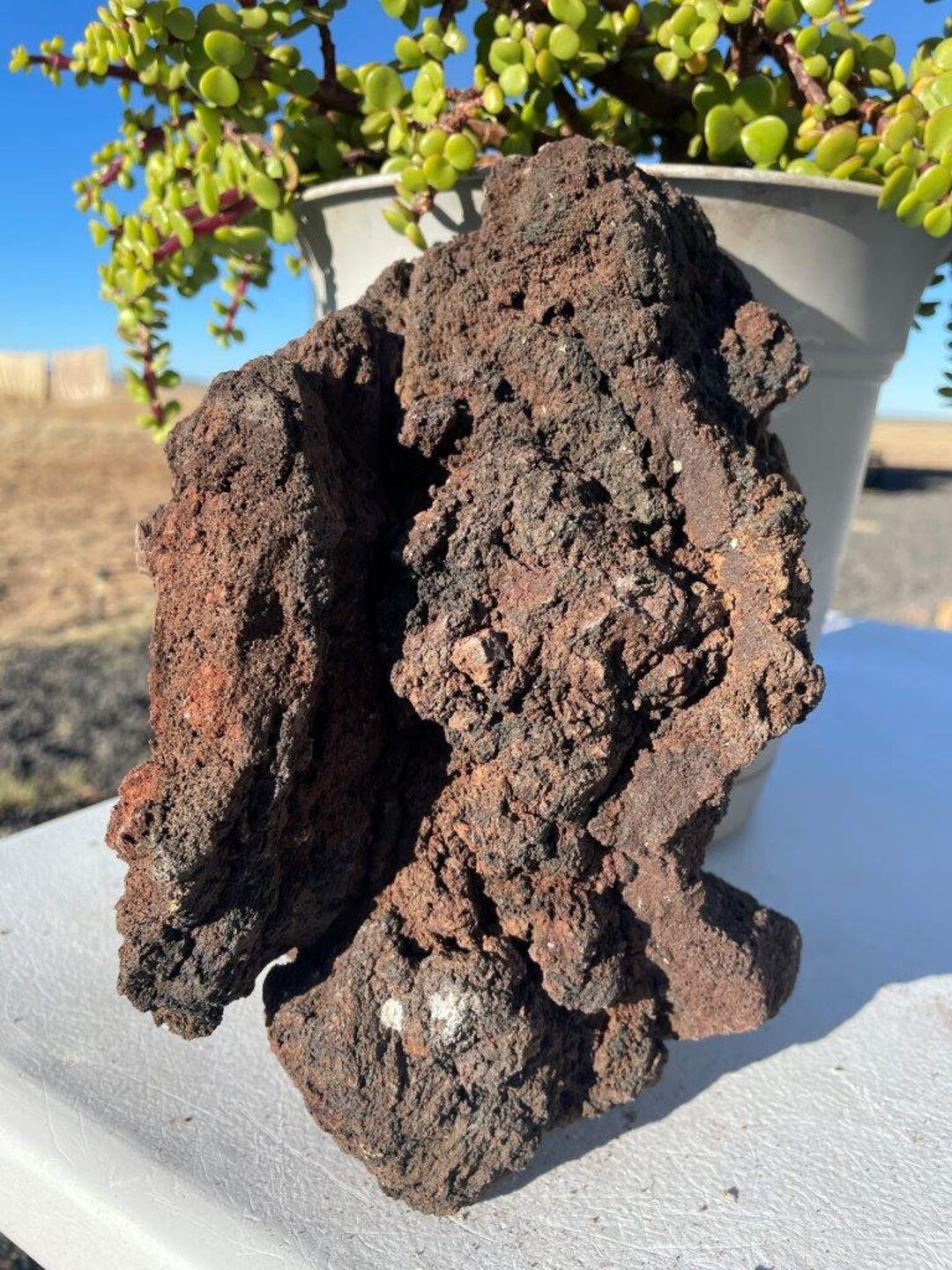 One Large Unique Lava Rock Planter All Natural Perfect for - Etsy