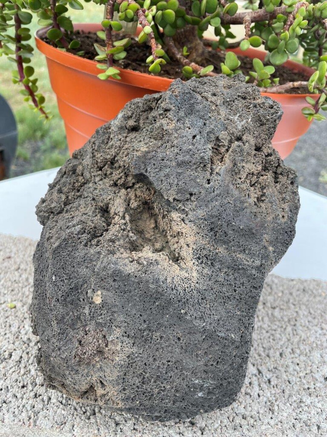 One Large, Unique Lava Rock Planter– All Natural, Perfect for ...