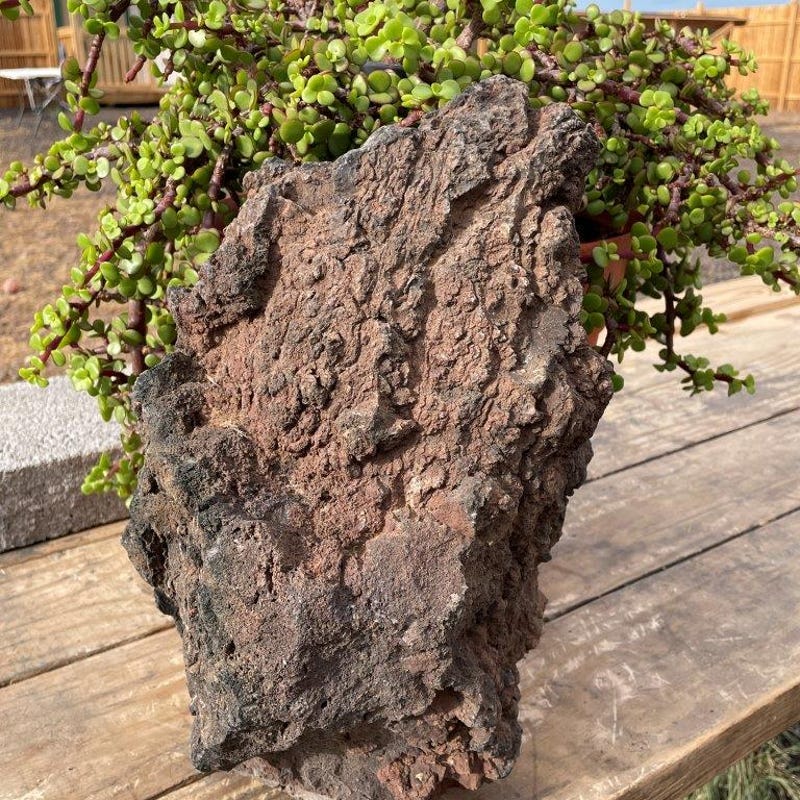 Rock Planter - Etsy