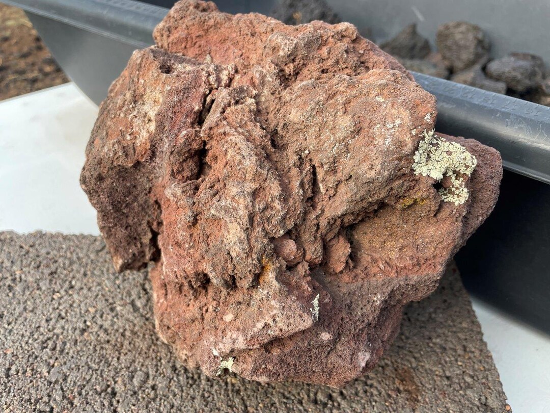 One Large, Red Lava Rock – Perfect for Terrariums, Aquariums ...