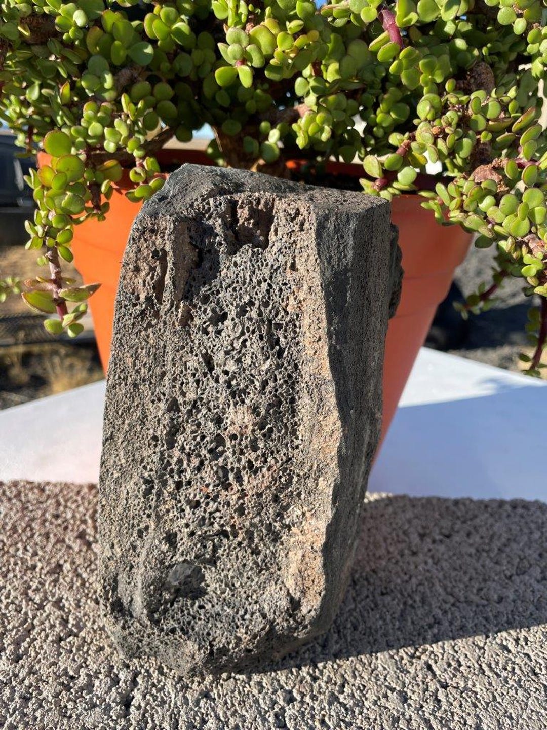 One Large, Black Lava Bomb Segment – Perfect for Terrariums, Aquariums ...