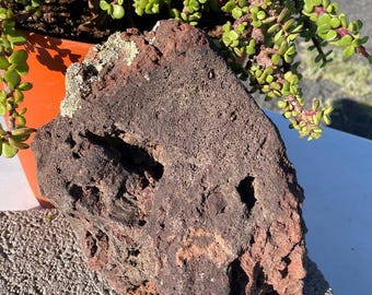 One Large, Unique Lava Rock Planter– All Natural, Perfect for ...