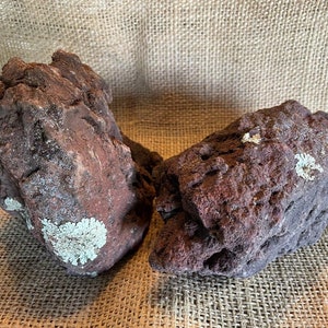 Two Large, Red Lava Rocks, Perfect for Succulents, Aquariums, and More ...