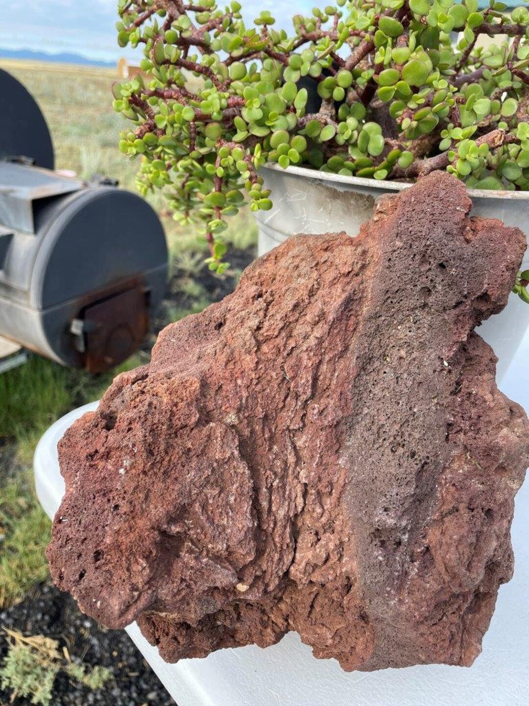 One Large, Unique Lava Rock Planter– All Natural, Perfect for ...