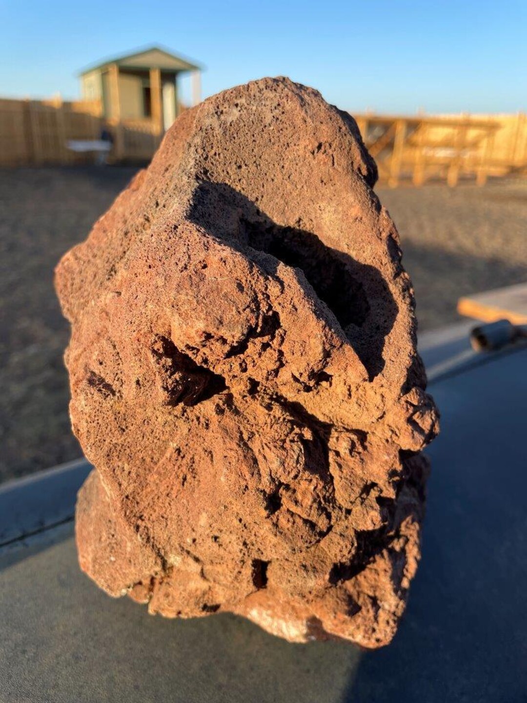 One Large, Unique Lava Rock Planter W/ Natural Hole – All Natural ...