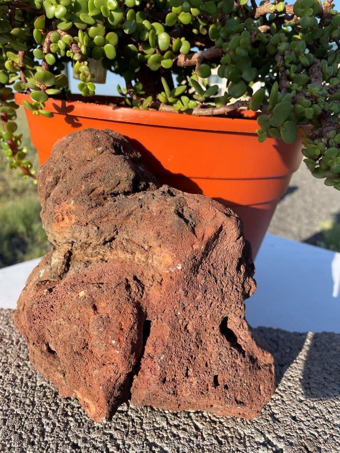 One Large, Red Lava Rock – Perfect for Terrariums, Aquariums ...