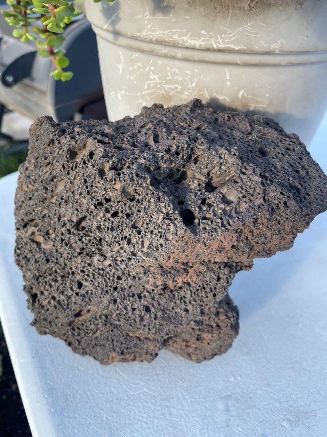 One Large Black Lava Rock Perfect for Terrariums, Aquariums, Succulents ...