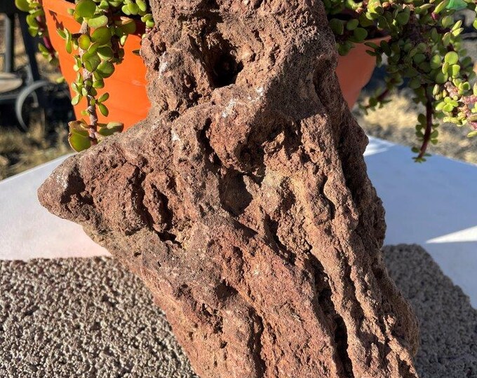 One Large, Unique Lava Rock Planter– All Natural, Perfect for ...