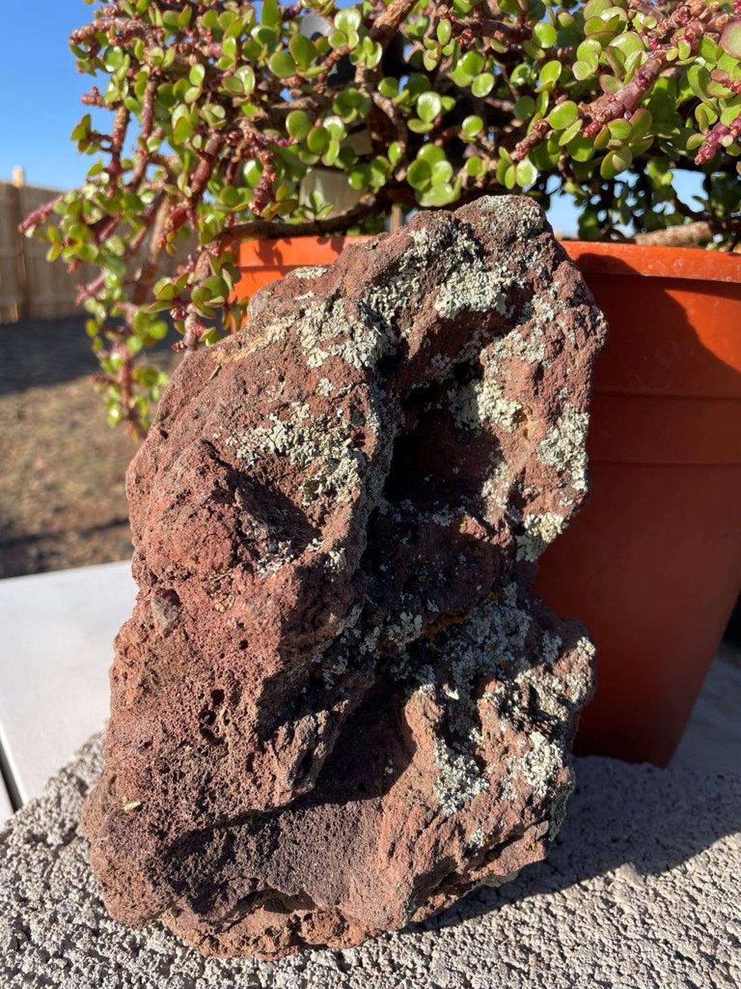 One Large, Red Lava Rock – Perfect for Terrariums, Aquariums ...