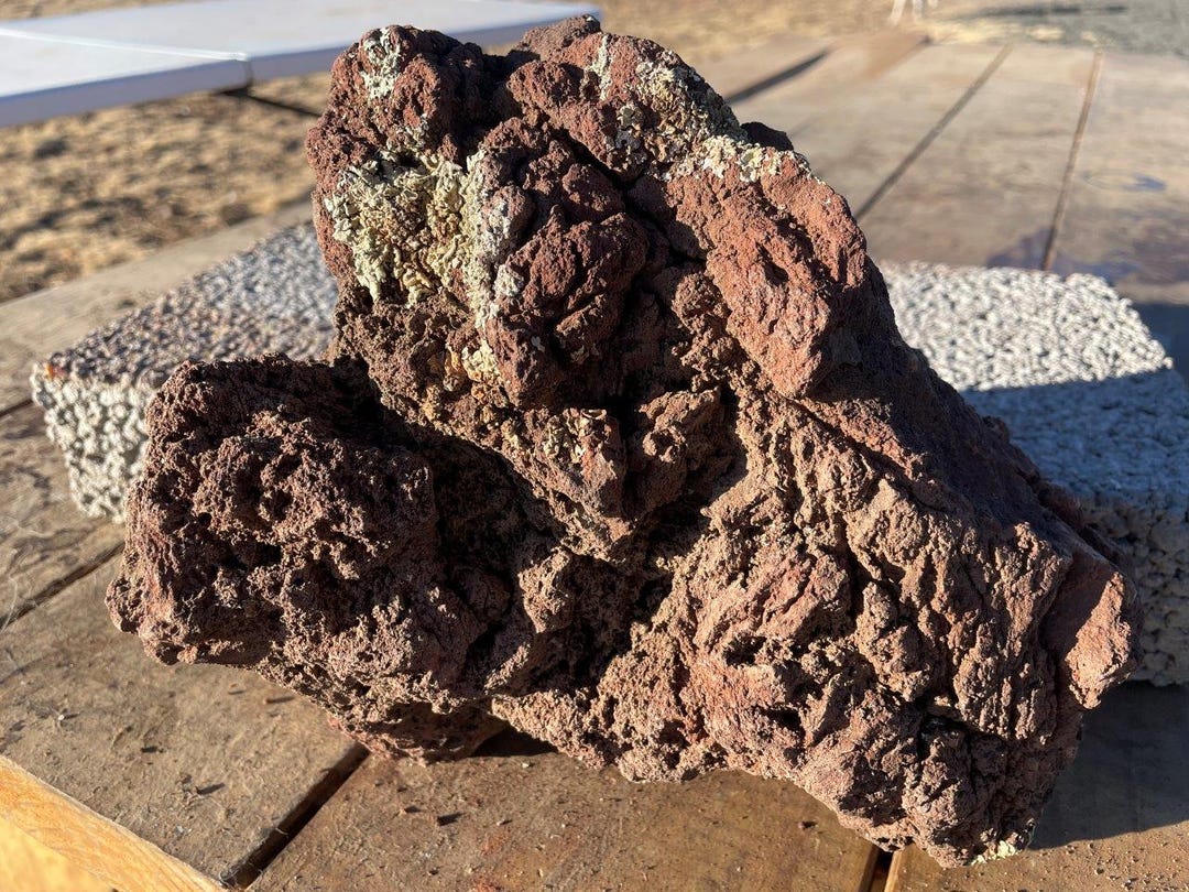 One Large, Red Lava Rock Perfect for Terrariums, Aquariums, Succulents ...