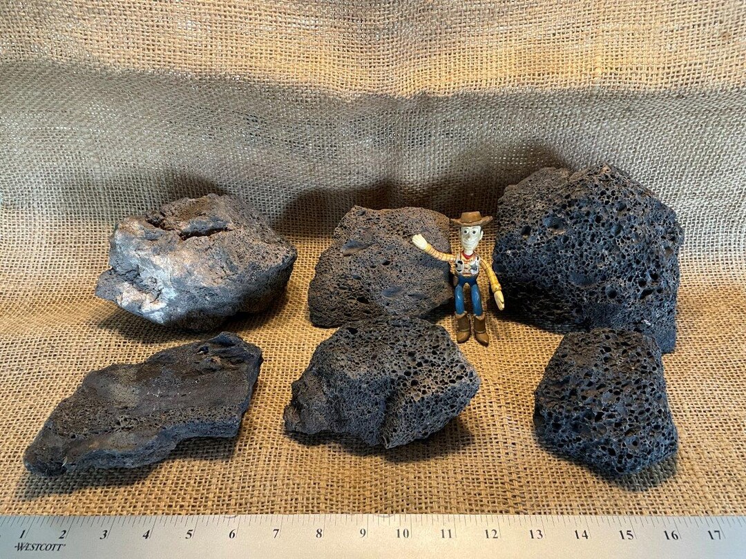 6 Large, Black Lava Rocks Perfect for Aquariums, Terrariums, Succulents ...