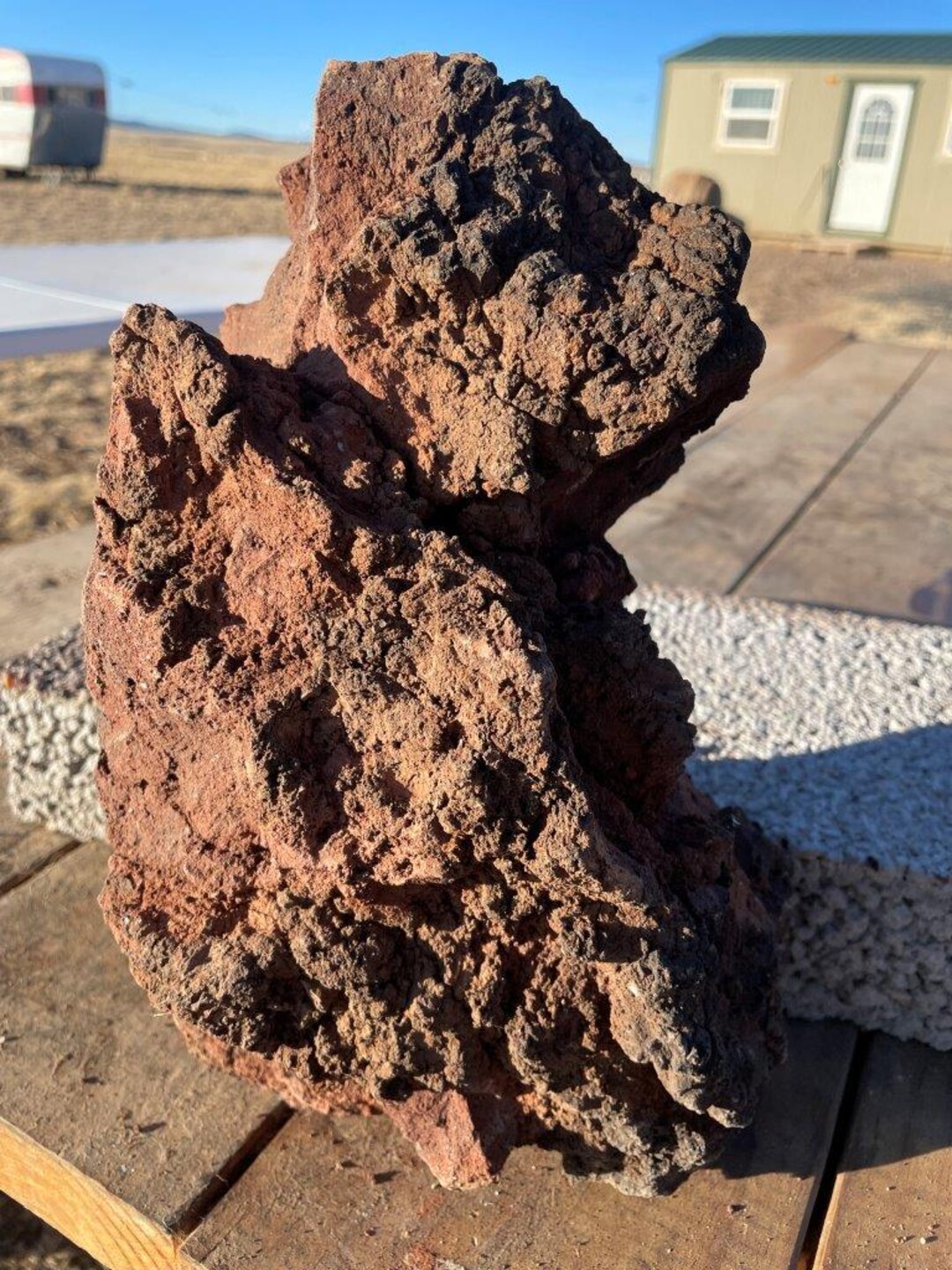 One Large, Unique Lava Rock Planter All Natural, Perfect for Succulents ...