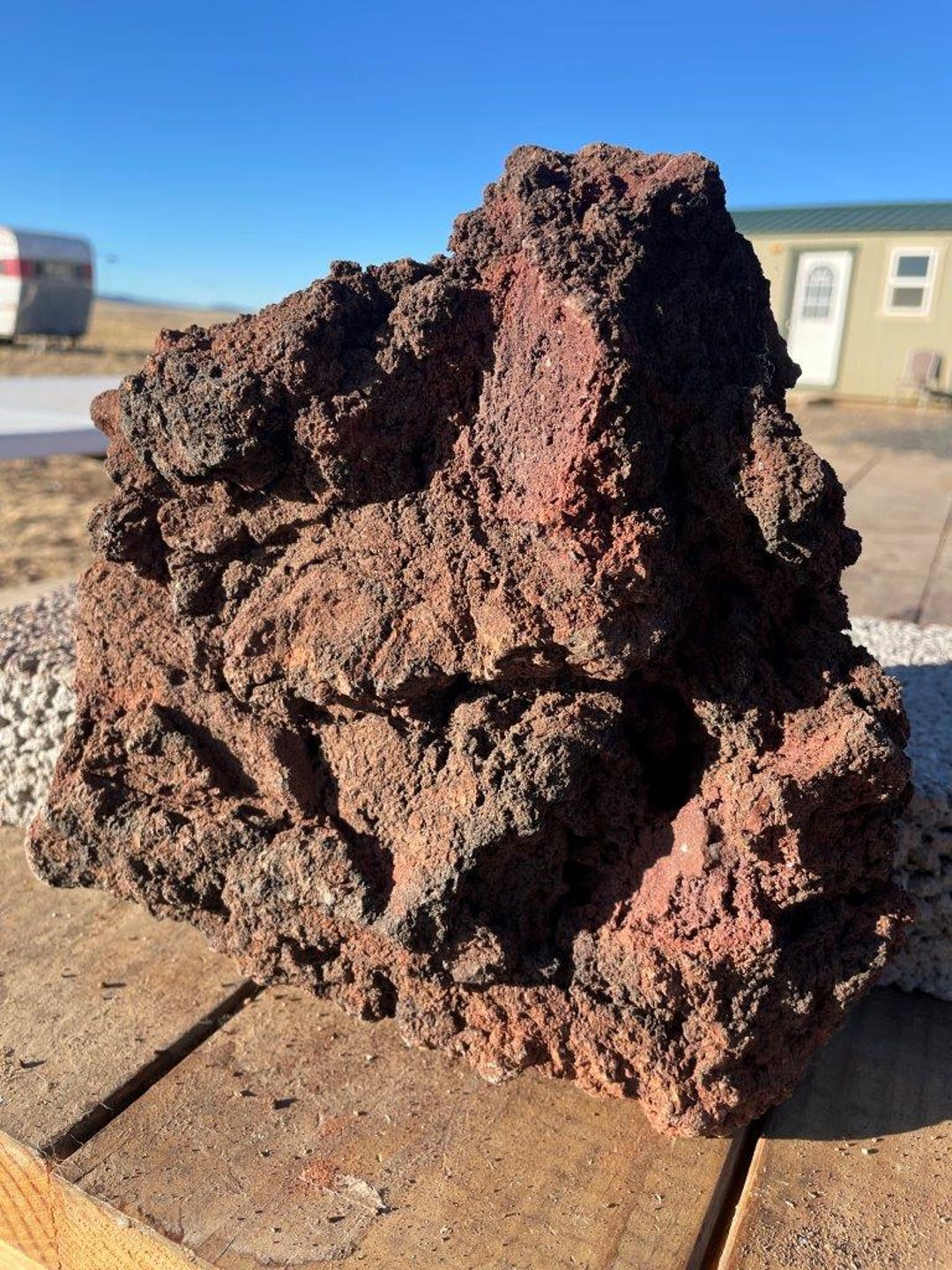 One X/L, Unique Lava Rock Planter– All Natural, Perfect for Succulents ...