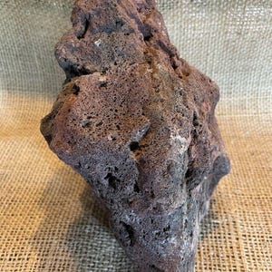 One Large, Red Lava Rock Perfect for Terrariums, Aquariums, Succulents ...