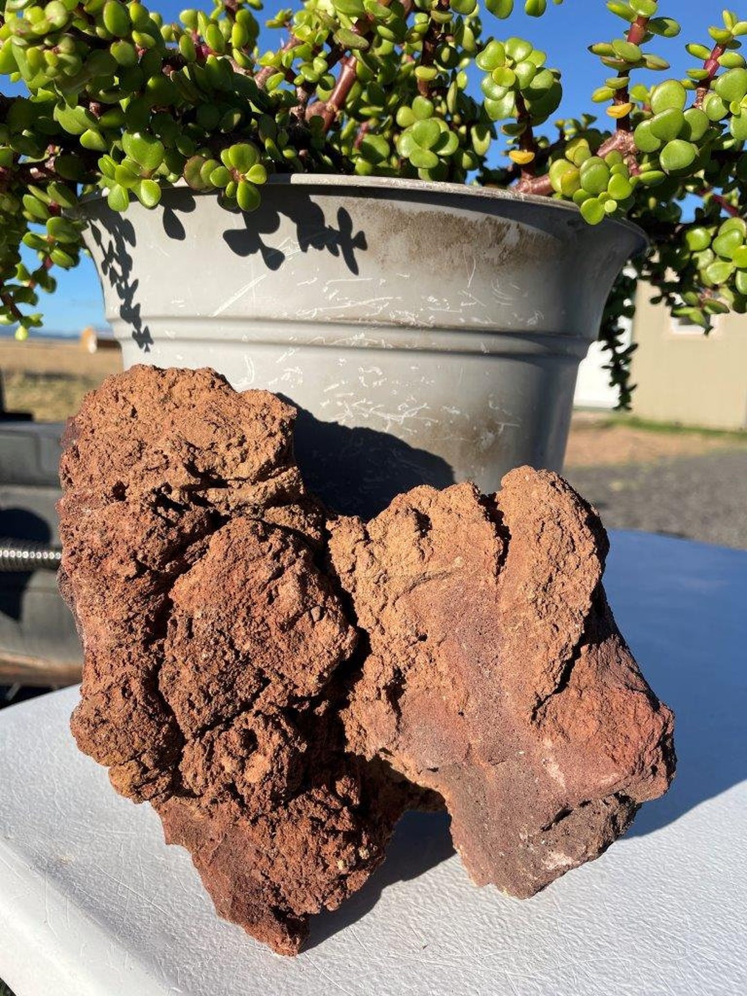 One Large, Unique Lava Rock Planter All Natural, Perfect for Succulents ...