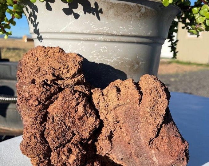 One Large, Unique Lava Rock Planter– All Natural, Perfect for ...