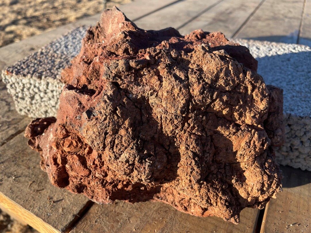 One Large, Red Lava Rock – Perfect for Terrariums, Aquariums ...
