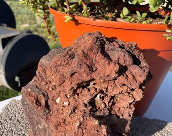 One Large, Unique Lava Rock Planter– All Natural, Perfect for ...