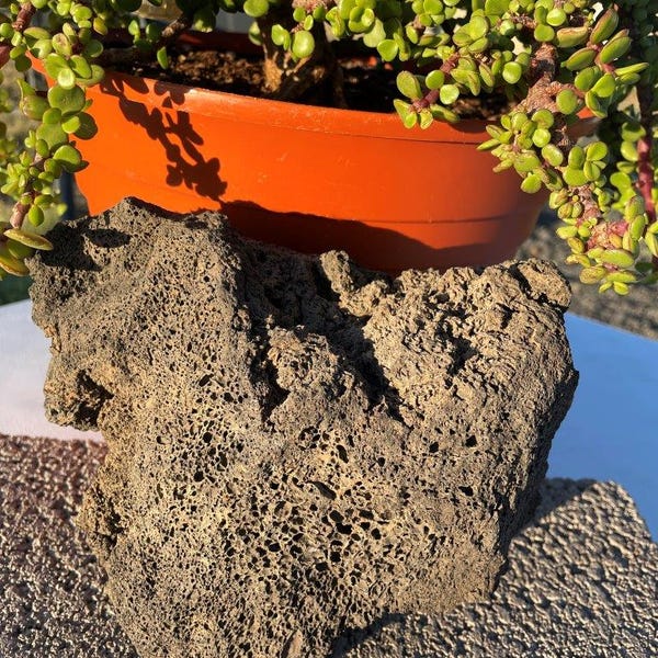 Rock Planter - Etsy