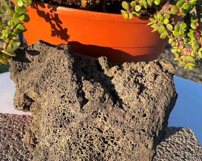 One Large, Unique Lava Rock Planter– All Natural, Perfect for ...