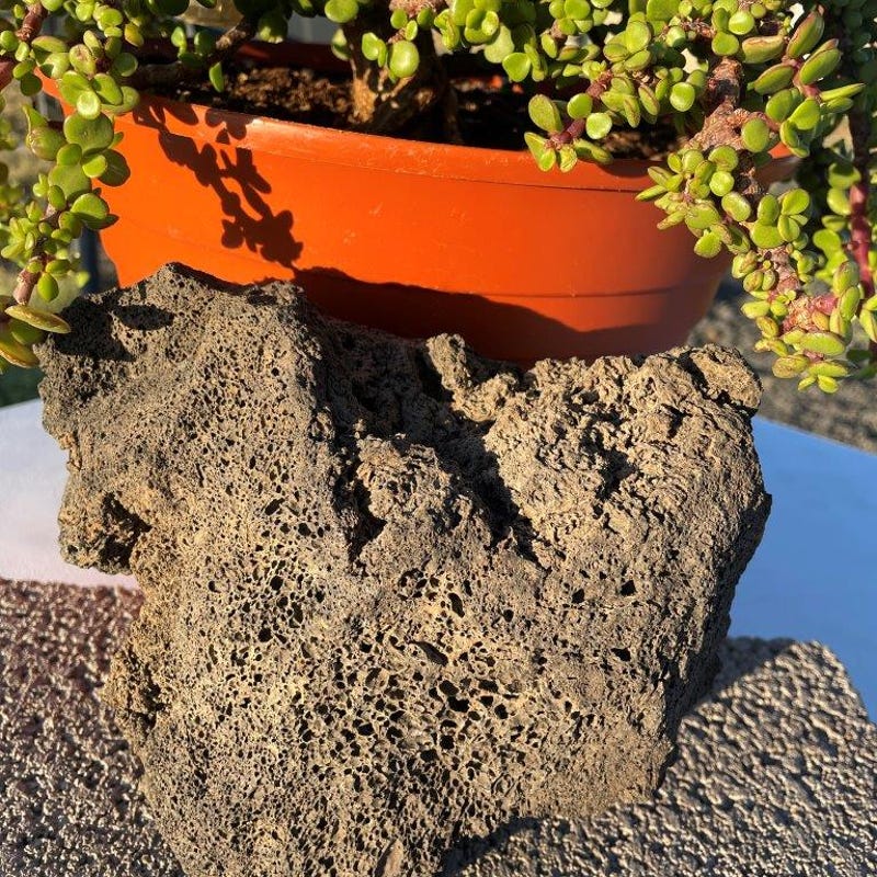 Rock Planter - Etsy