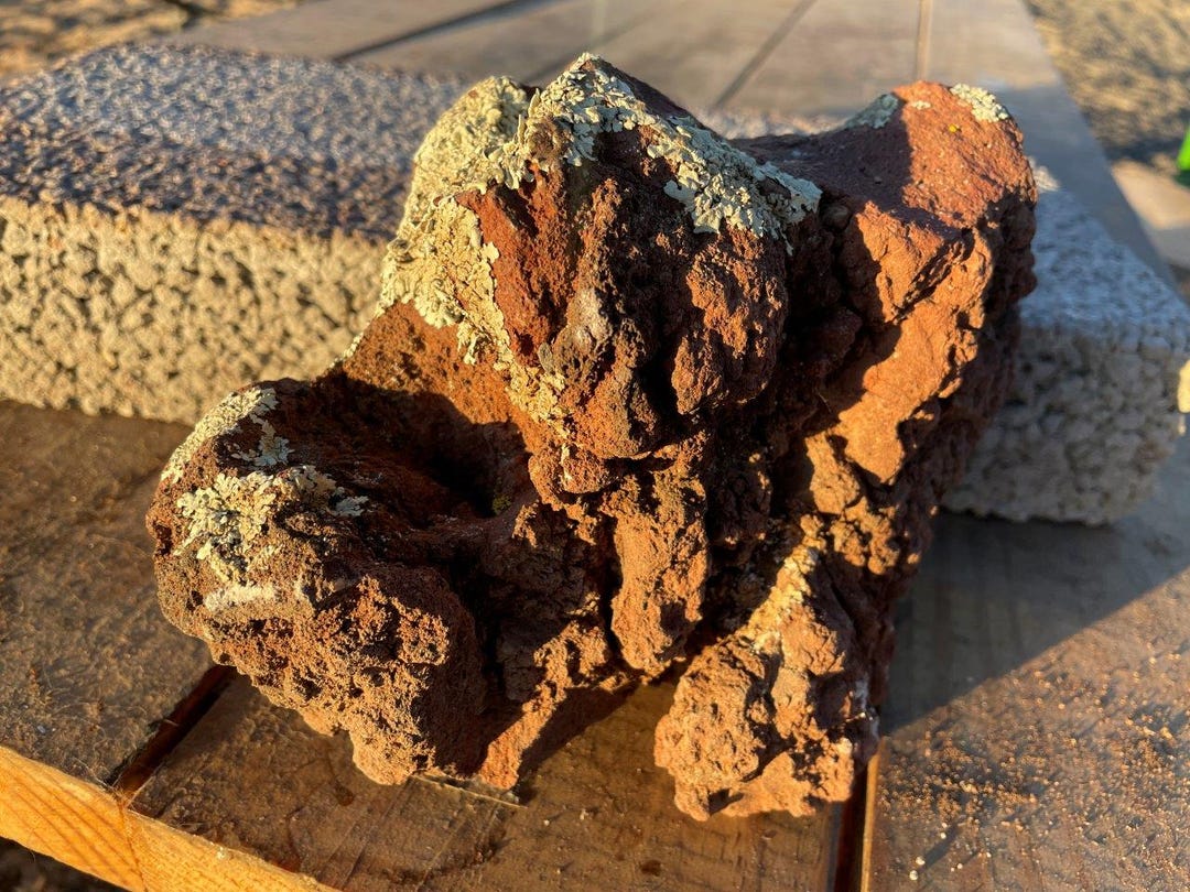 One Large, Unique Lava Rock Planter All Natural, Perfect for Succulents ...