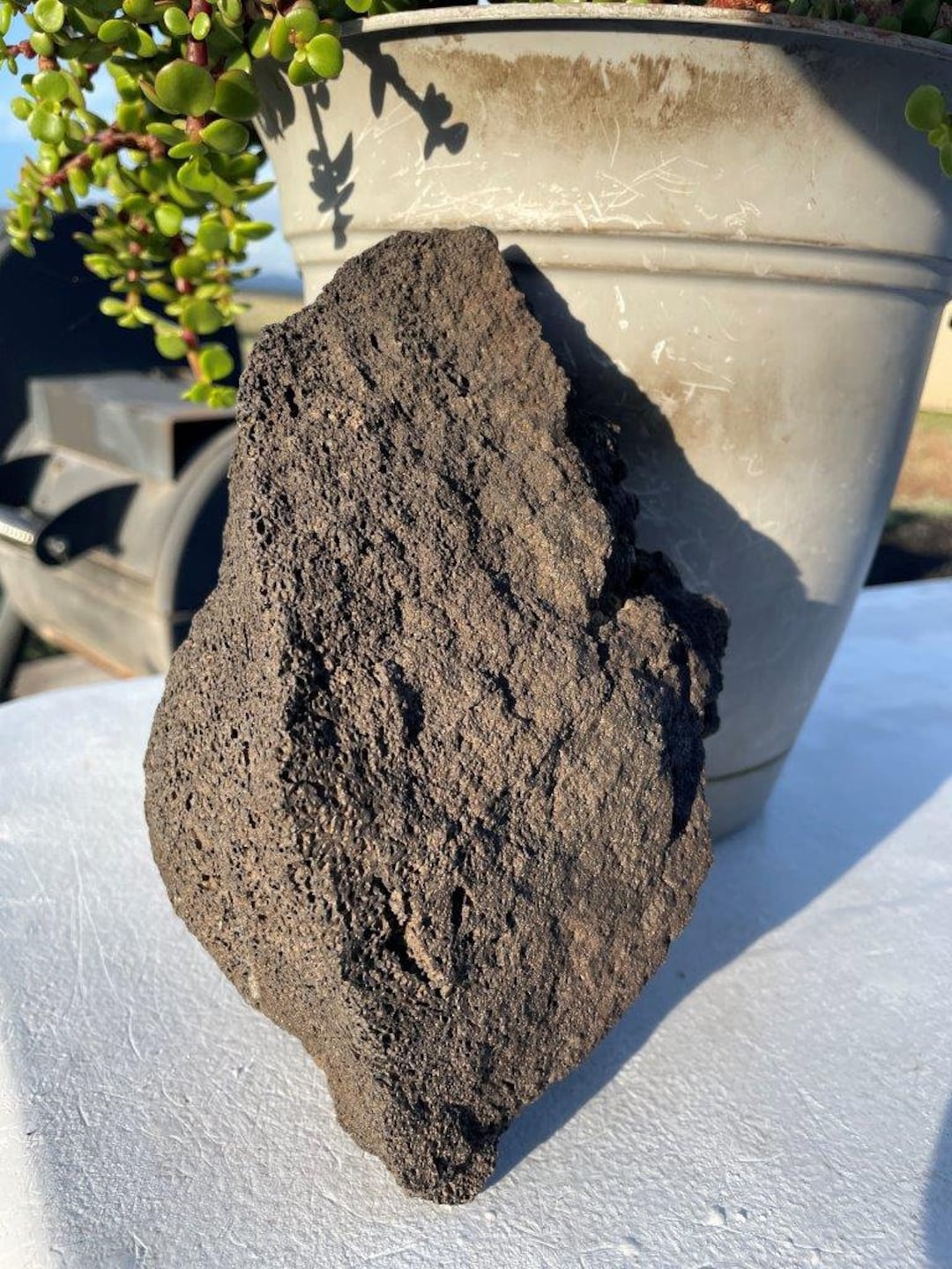 One Large Black Lava Rock Perfect for Terrariums, Aquariums, Succulents ...