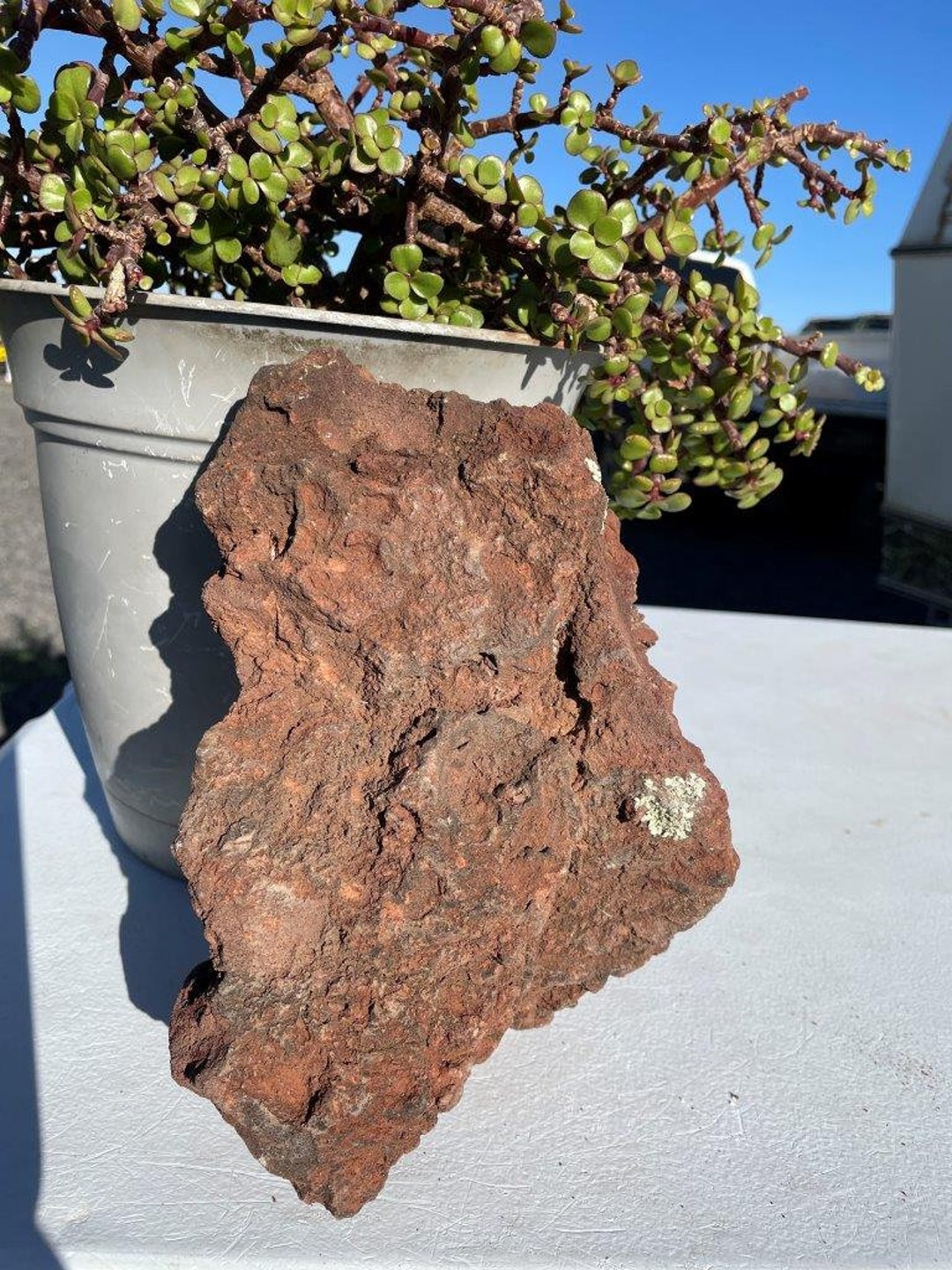 One Large, Unique Lava Rock Planter– All Natural, Perfect for ...