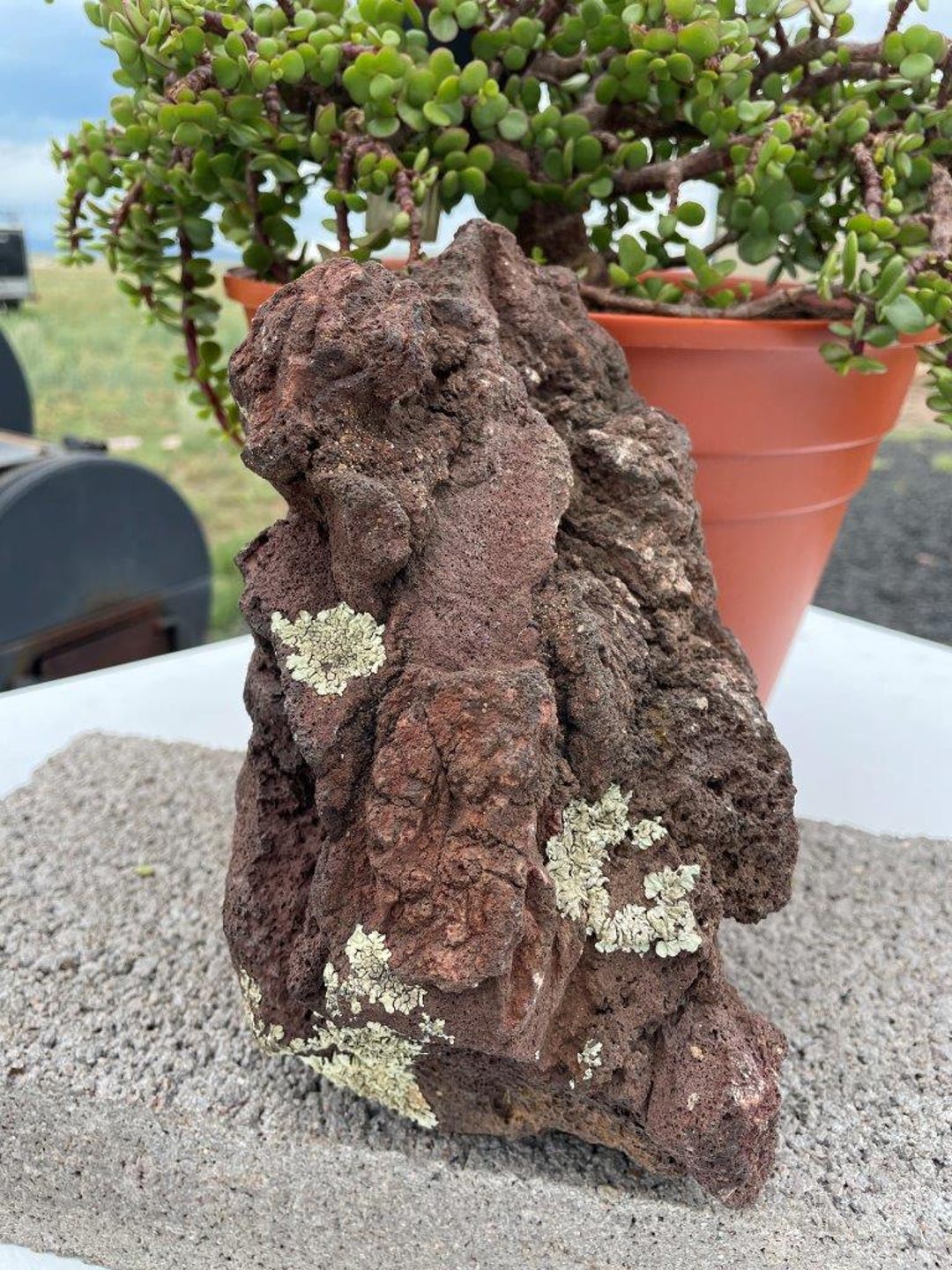 One Large, Unique Lava Rock Planter– All Natural, Perfect for ...