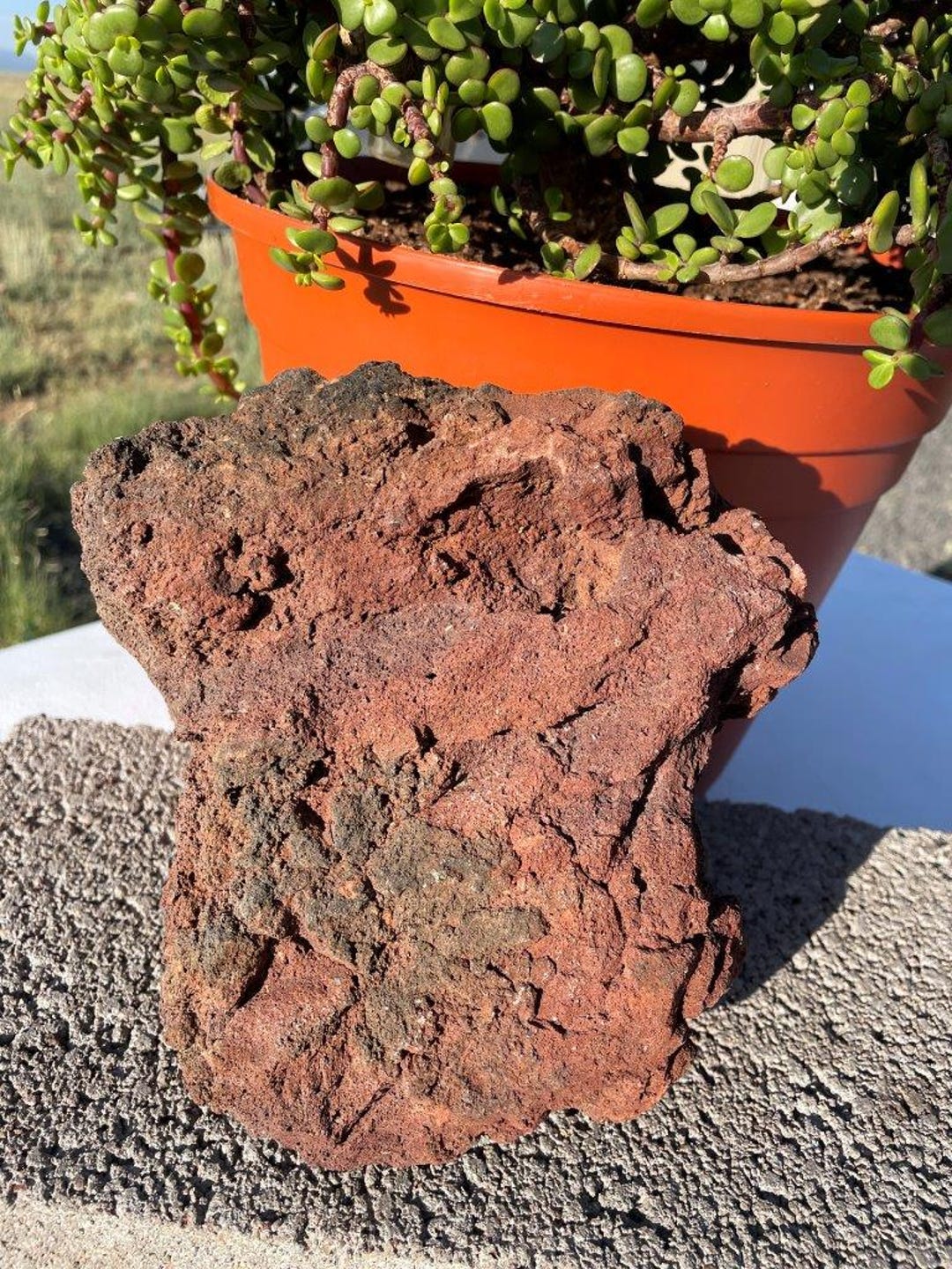 One Large, Unique Lava Rock Planter– All Natural, Perfect for ...