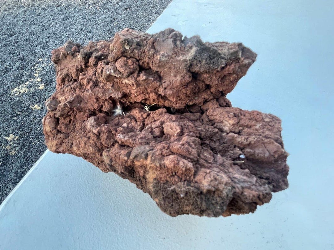 One Large Exotic Black & Red Lava Rock – Perfect for Aquariums ...