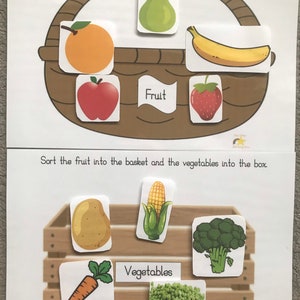 Fruit and Vegetable Sorting Activity, Science, Healthy Eating ...