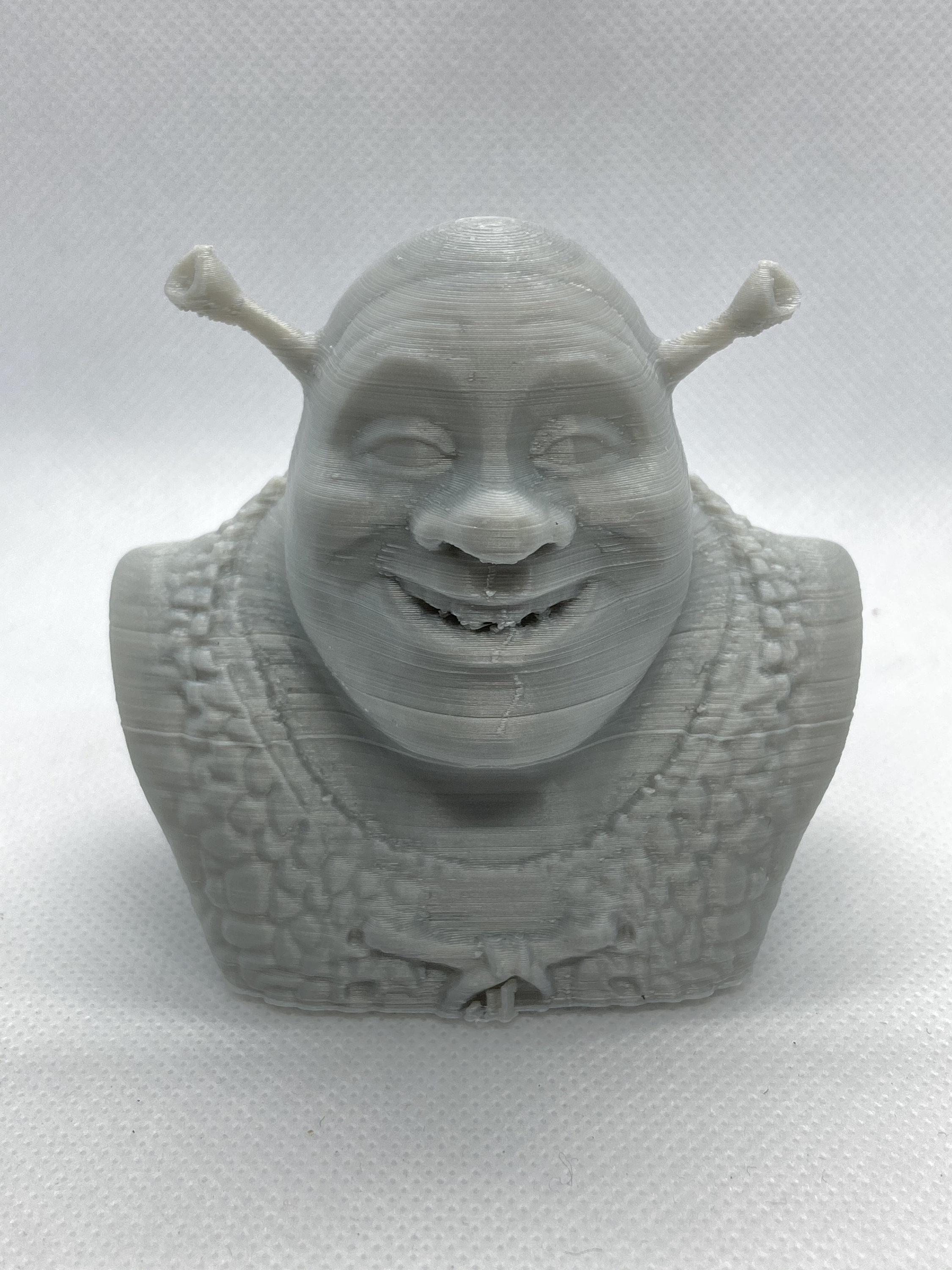 Shrek 3D Printed Miniature Head Meme - Etsy