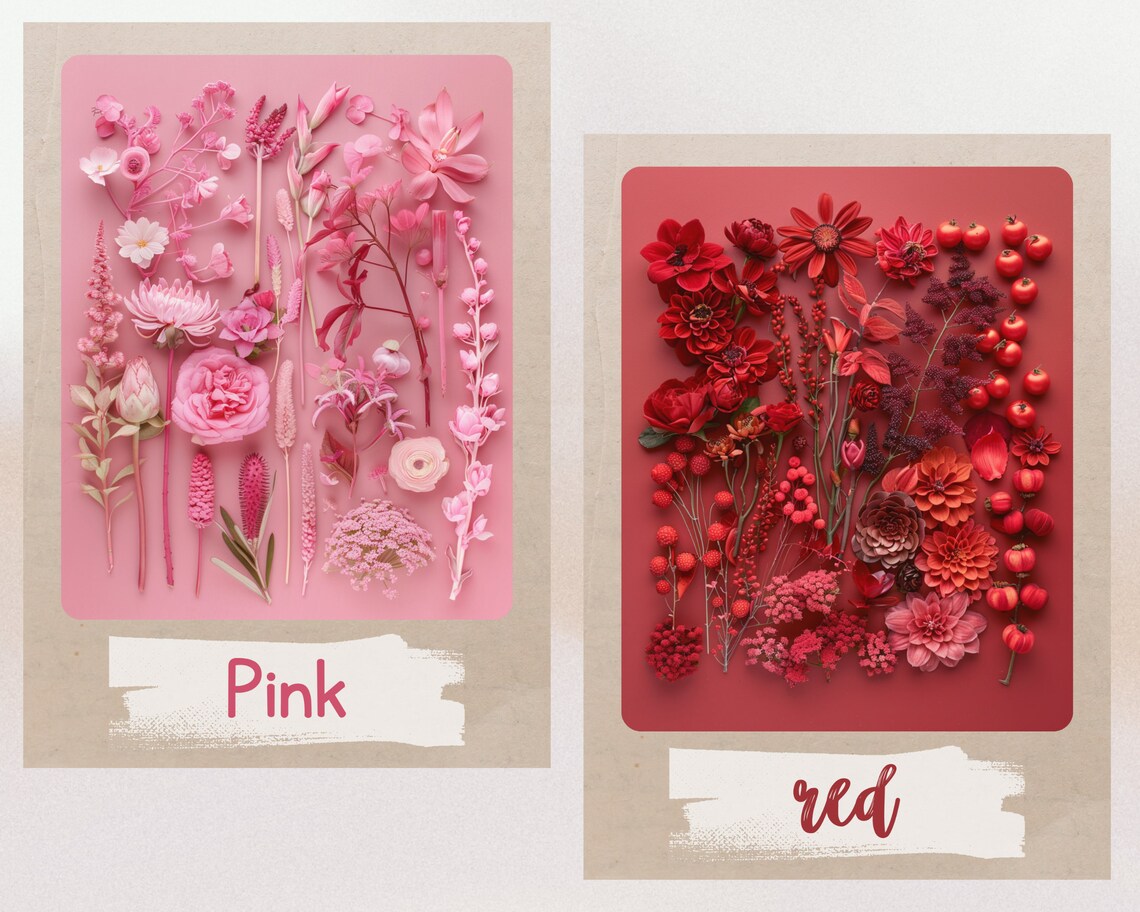 Nature Color Chart Poster, Classroom Colour Posters, Nature Color Photo ...