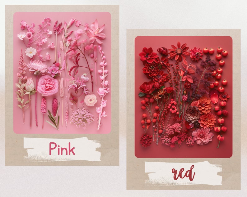 Nature Color Chart Poster, Classroom Colour Posters, Nature Color Photo ...