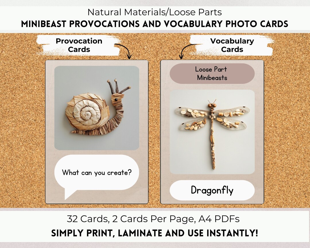 Loose Parts Minibeast Provocations and Vocabulary Photo Cards, Reggio ...
